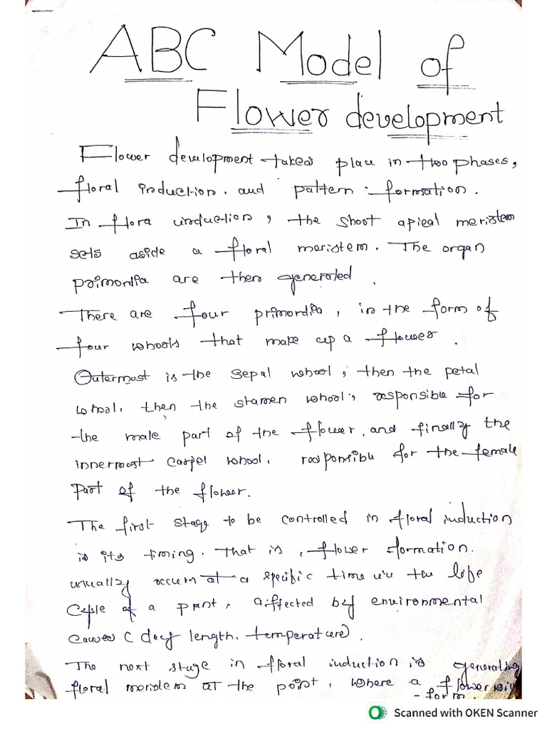 ABC Model of Flower Development | PDF