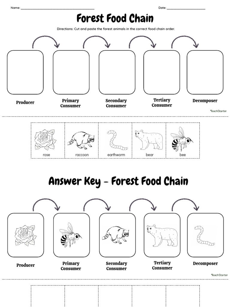Forest Foodchain Cut and Paste Work Sheeta Do Be Reader | PDF ...
