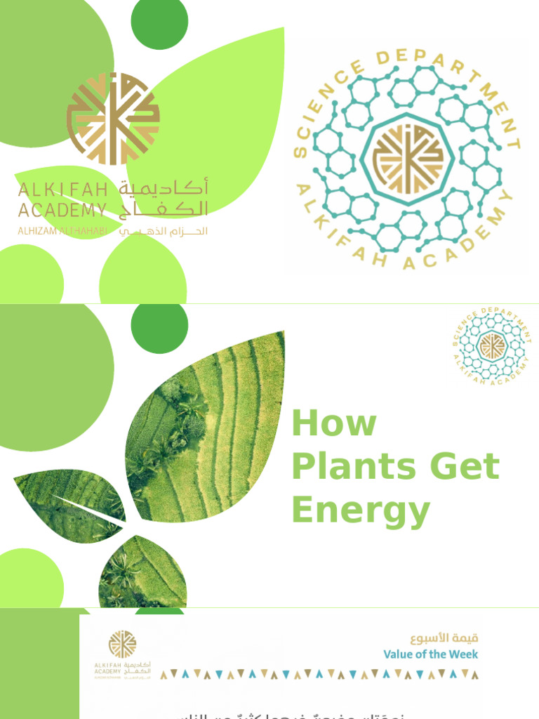 L2 - How Plants Get Energy | PDF | Photosynthesis | Plants