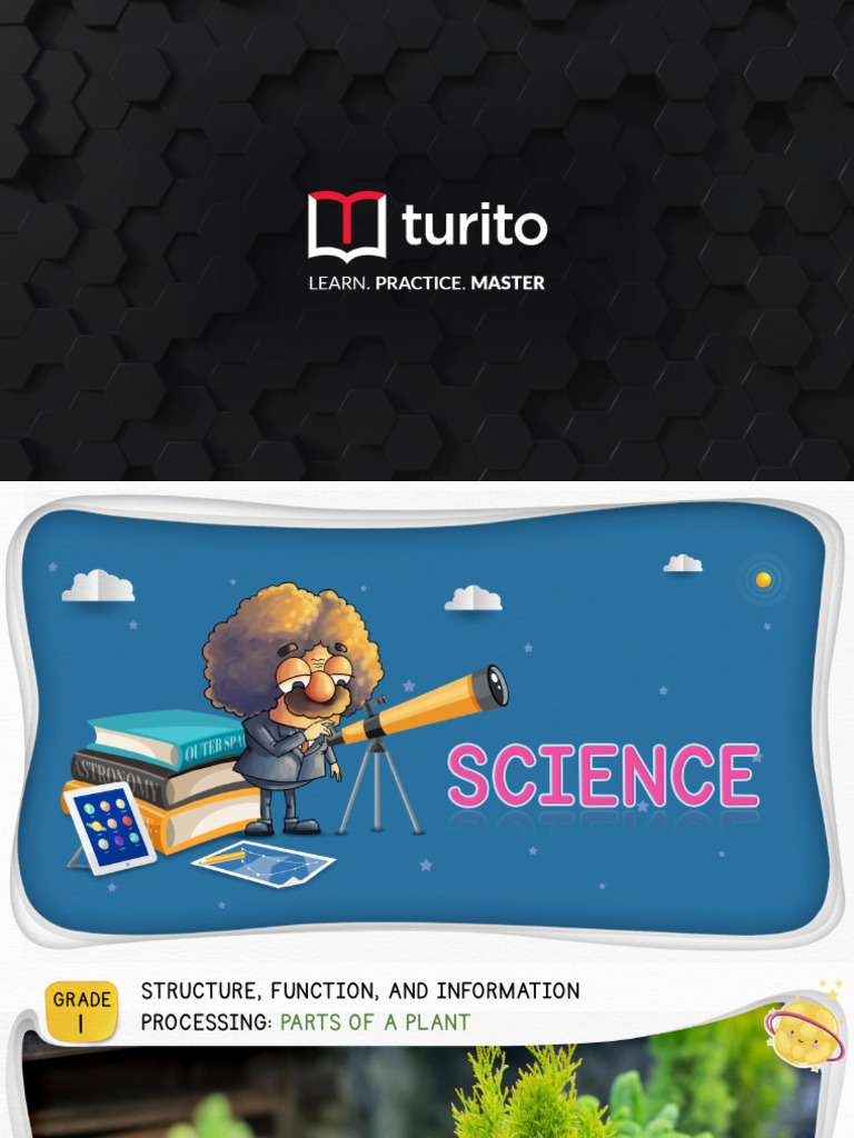 Structure, Function, and Information Processing - Structure and ...