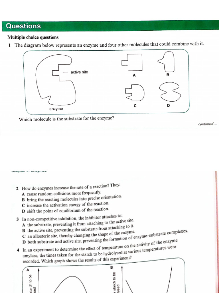 Enzymes Tutorial | PDF
