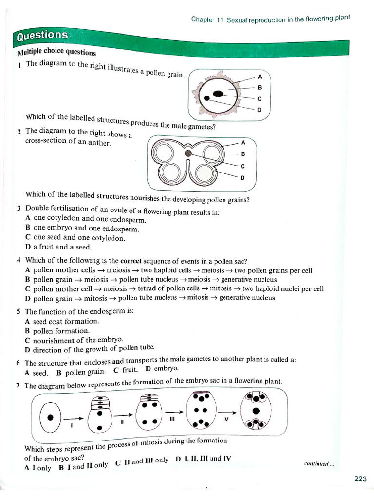 Flowering Plants Tutorial | PDF