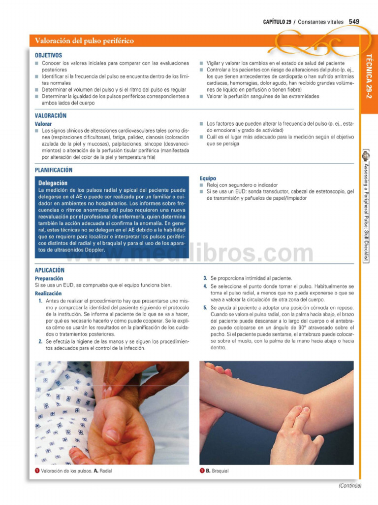 Valoracion Pulso Kozier | PDF | Legumbres | Sistema cardiovascular