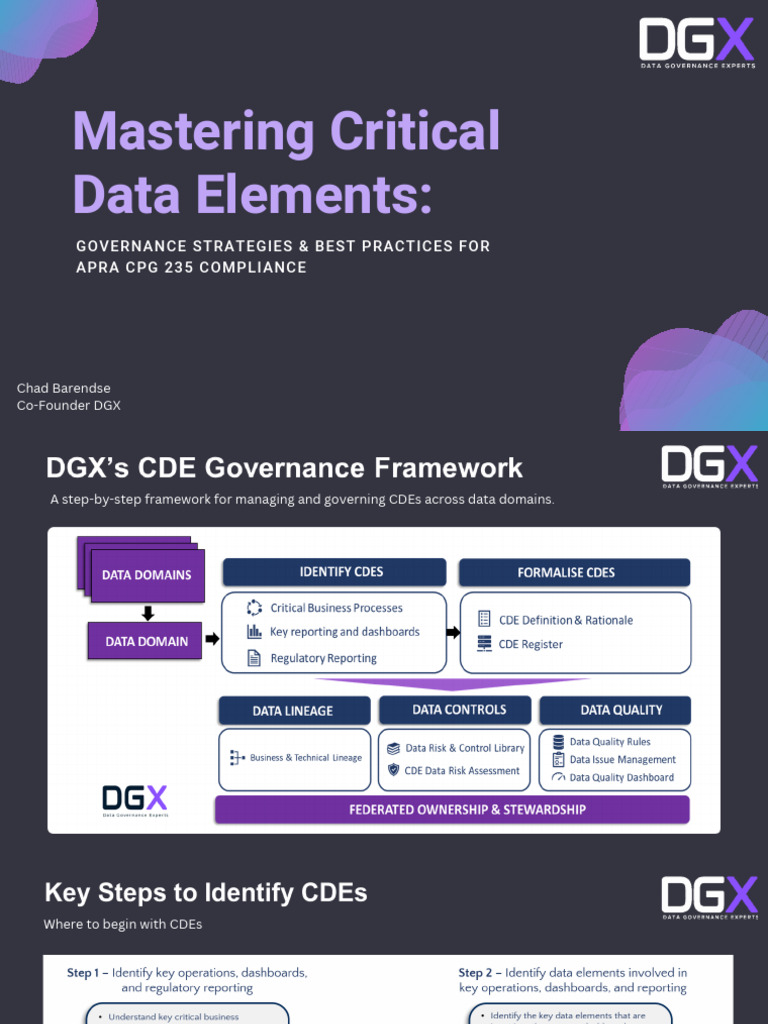 Mastering Critical Data Elements | PDF | Business