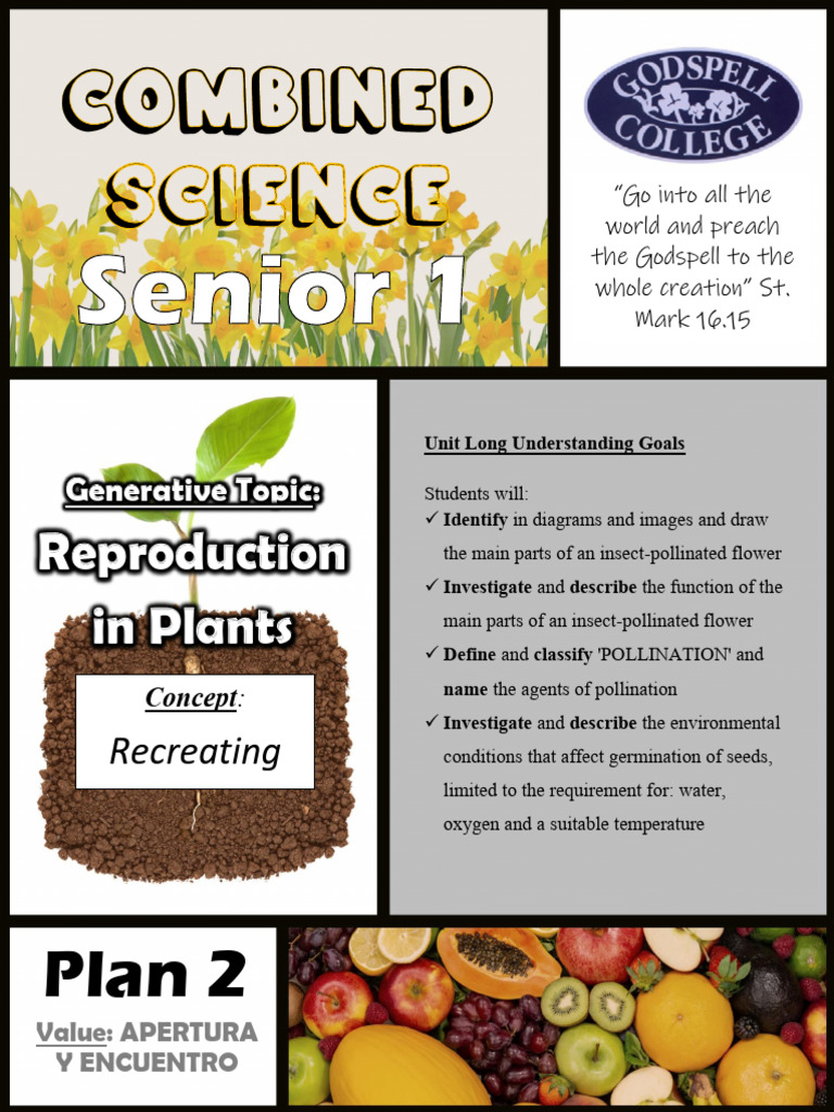 CS (Biology) - Senior 1 - Plan 2 - Reproduction in Plants | PDF ...