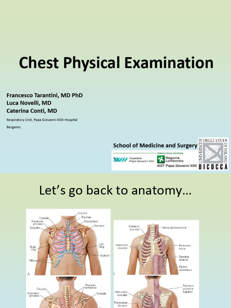Chest Physical Examination IMS | PDF | Lung | Thorax