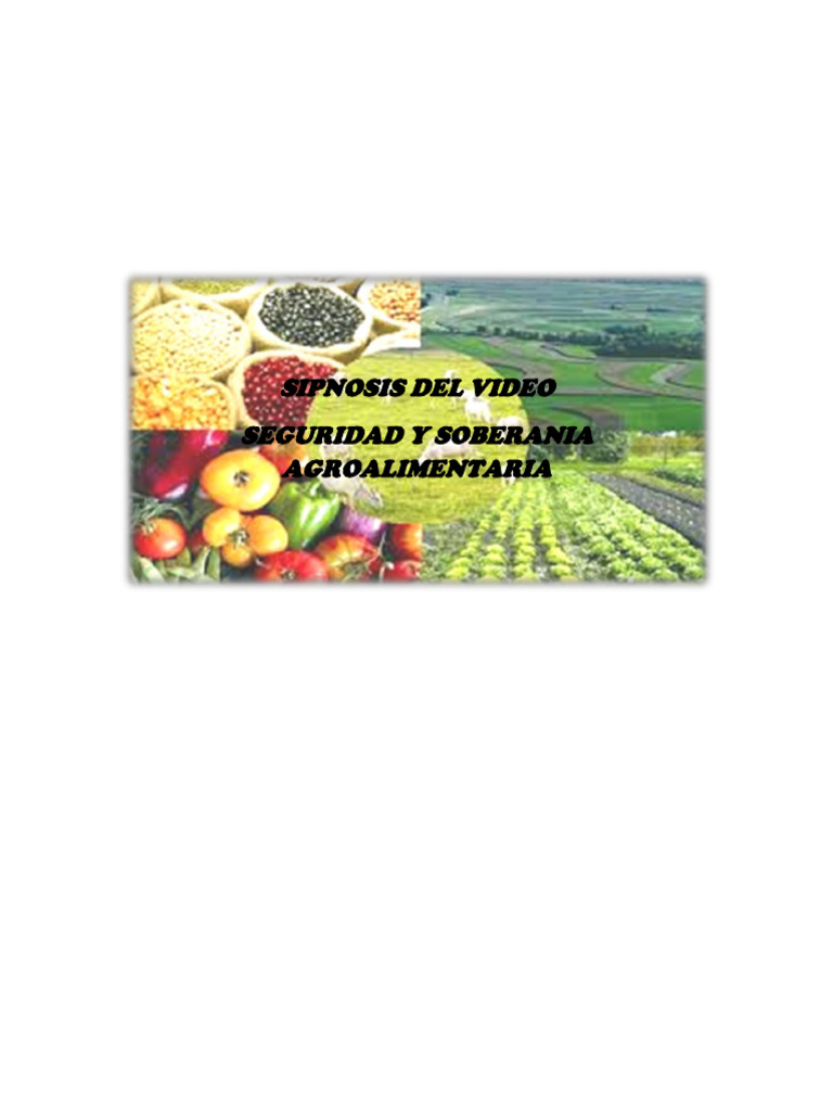 Seguridad y Soberania Agroalimentaria | PDF | Venezuela