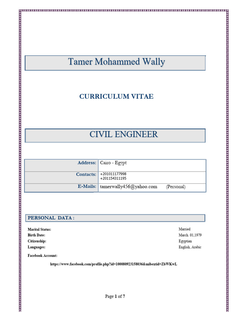 Civil Engineer CV - Tamer Wally | PDF | Business
