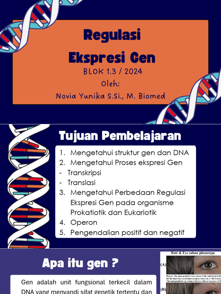 K13 Regulasi Ekspresi Gen - Novia Yunika | PDF