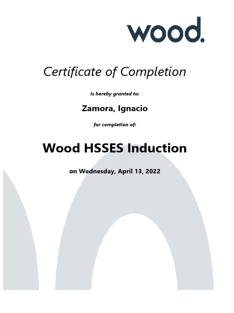 Zamora Ignacio-Wood HSSES Induction | PDF