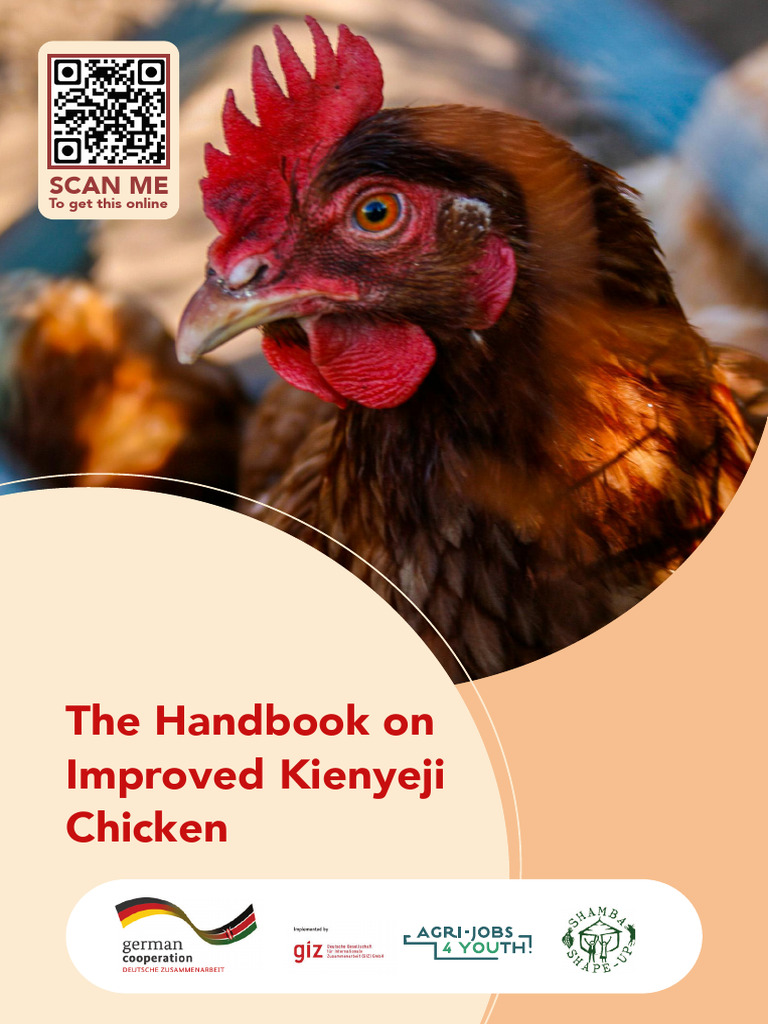 Improved Kienyeji Chicken Guide | PDF | Chicken | Poultry Farming