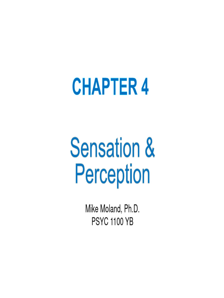 Sensation and Perception in Psychology | PDF | Perception | Retina