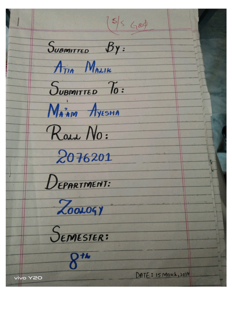 Courtship Behavior, Aquarium Fish Behavior | PDF