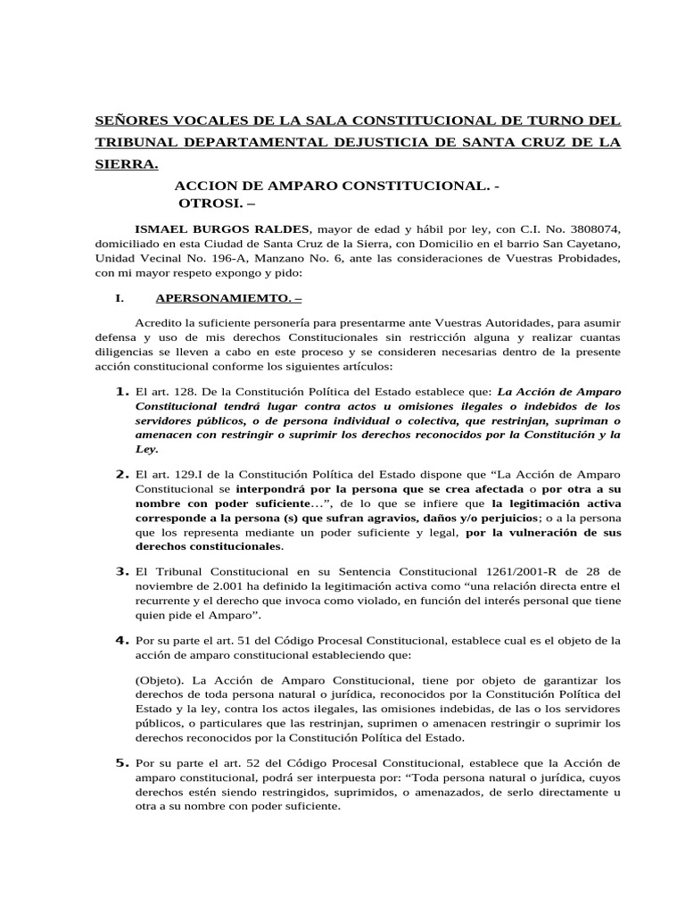 Acción de Amparo Constitucional en Santa Cruz | PDF | Debido al proceso ...