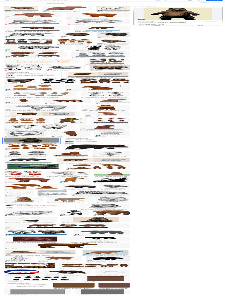 Drawing Grizzly Bear Side Google Search Pdf Bears Grizzly Bear