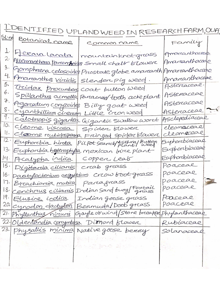 Identification of WEED | PDF
