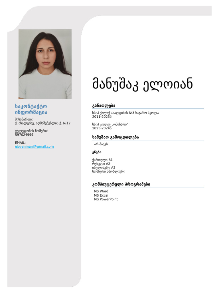 CV Manushak Eloyan | PDF