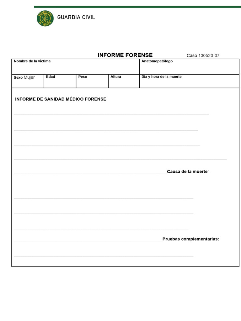 Informe Forense para Completar | PDF