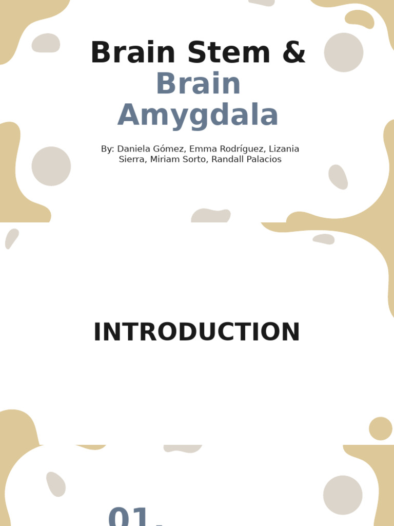 Brain Stem and Amygdala Overview | PDF | Self-Improvement | Science ...