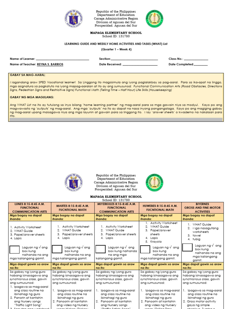 Sped Vocational Week 4 What Guide | PDF