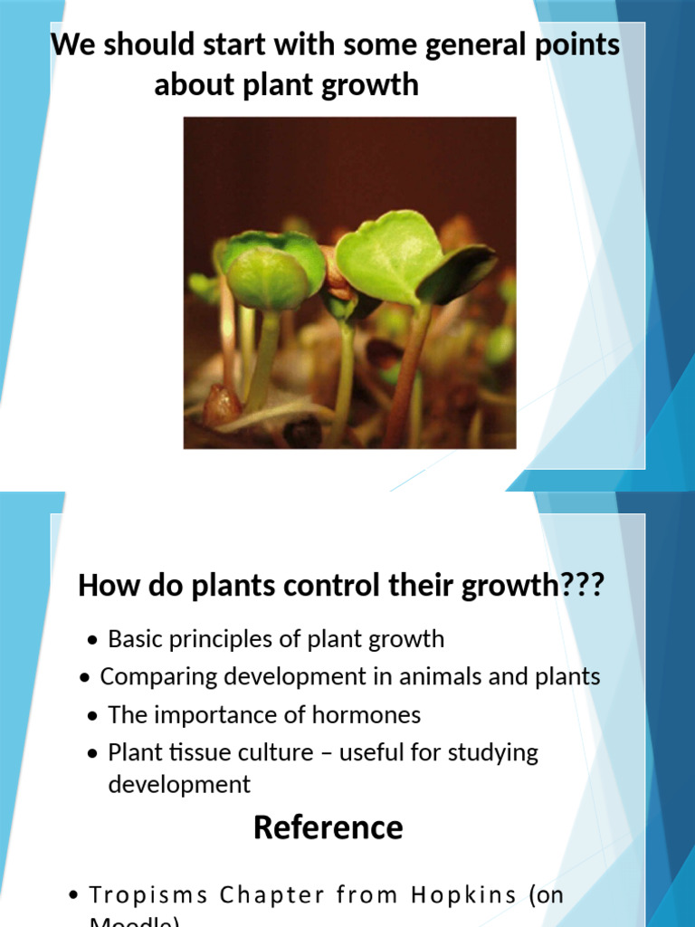 Control of Plant Growth - Tropisms | PDF | Plant Hormone | Auxin