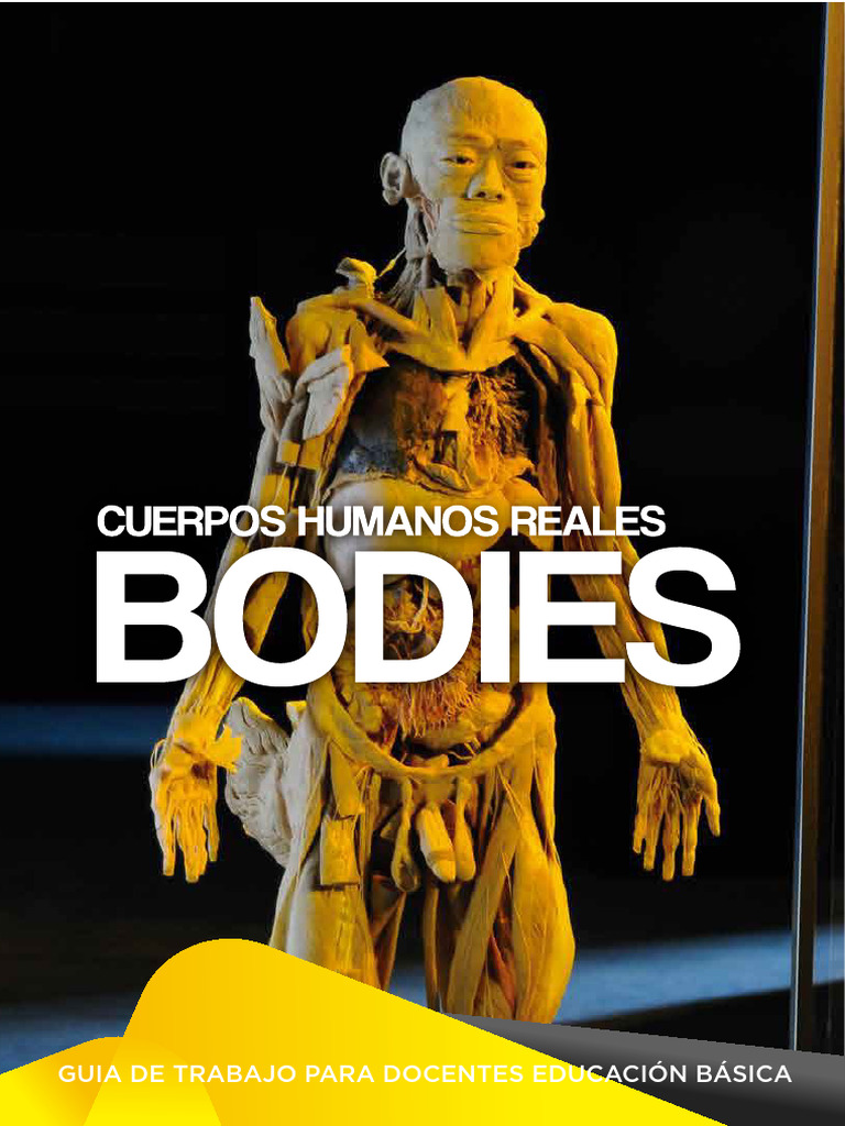 Isidoro Rodríguez Granado - GUIA PARA DOCENTES-ED BASICA | PDF