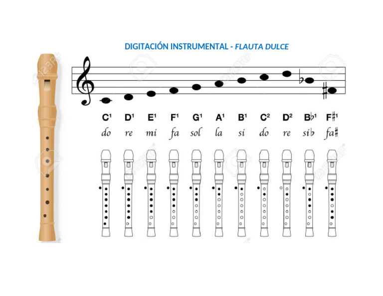 Digitación Instrumental - Flauta Dulce | PDF