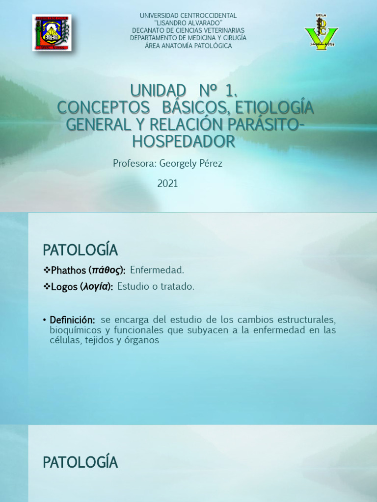 Unidad 1 Conceptos Básicos | PDF | Patología | Especialidades Medicas