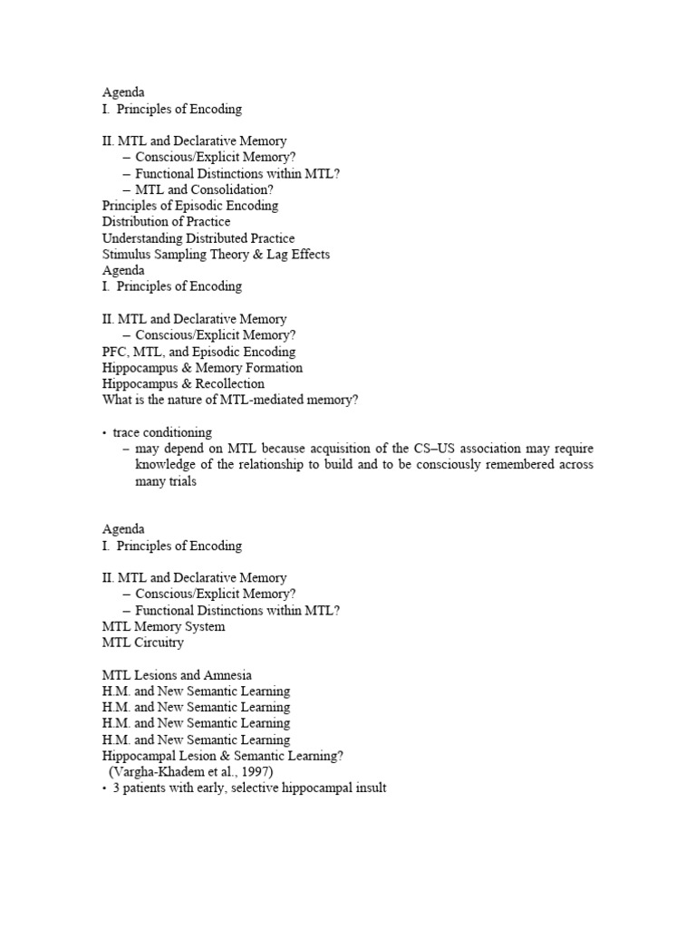 MTL and Declarative Memory Encoding Principles | PDF | Memory | Recall ...