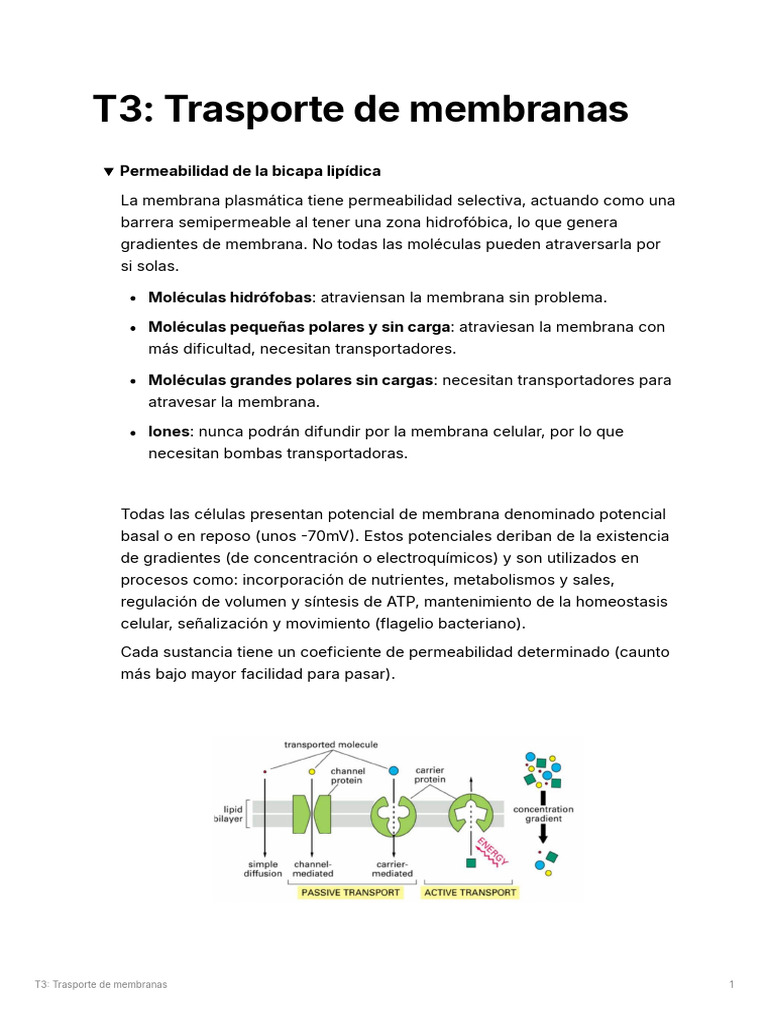 T3. Trasporte de Membranas | PDF | Trifosfato de adenosina | Biología Celular