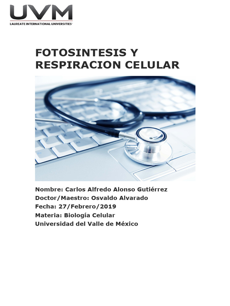 Fotosintesis y Respiracion Celular | PDF | Trifosfato de adenosina ...