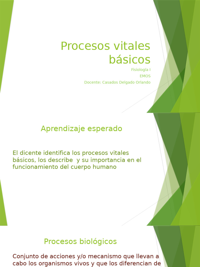 2 Procesos Vitales Básicos | PDF | Homeostasis | Realimentación