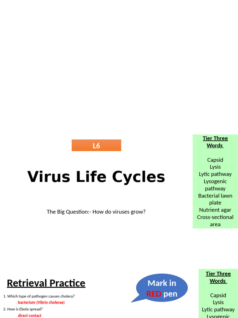 Understanding Virus Life Cycles | PDF | Virus | Pathogen
