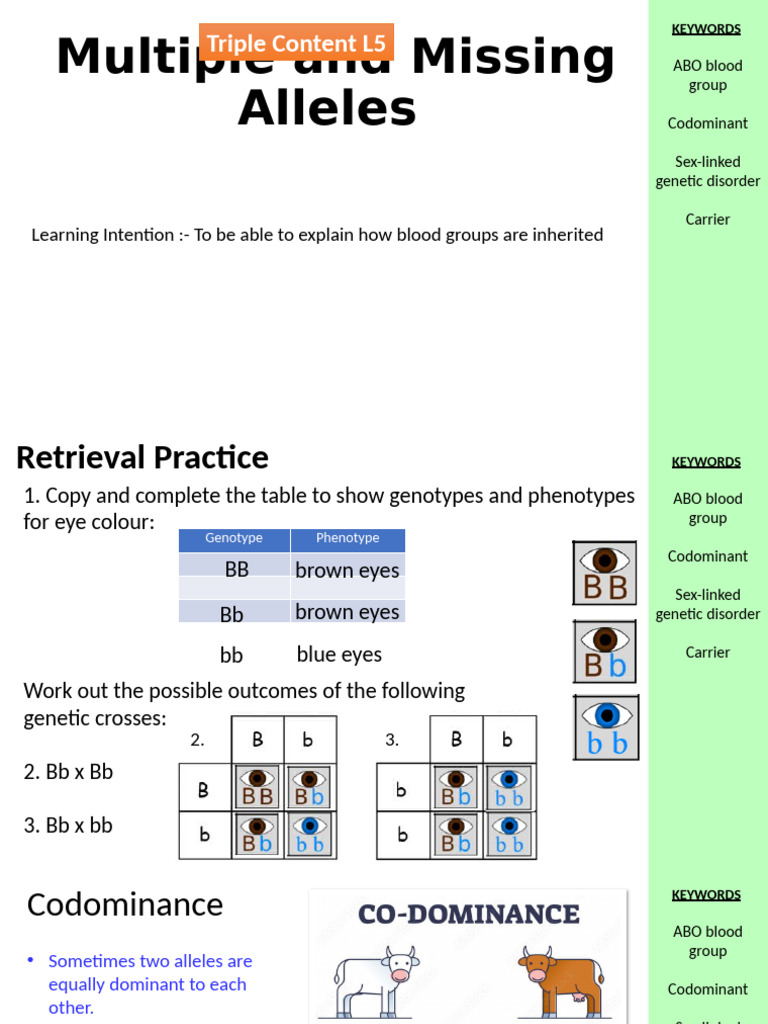 Blood Types | PDF | Dominance (Genetics) | Allele