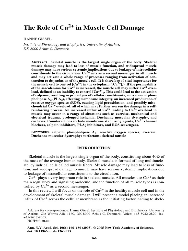 The Role of Ca2+ in Muscle Cell Damage | PDF | Muscle Contraction ...