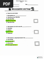 Hygiene Jeopardy Questions | PDF | Hygiene | Public Health