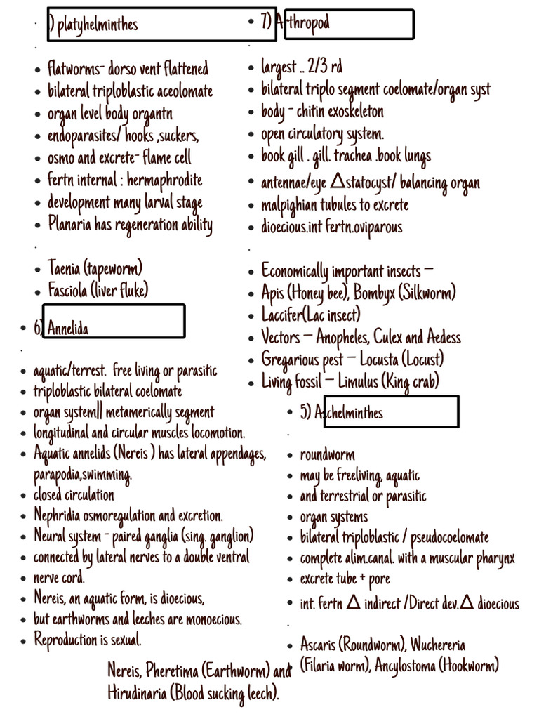 PDF - Quick Note - 241017 - 204852 | PDF