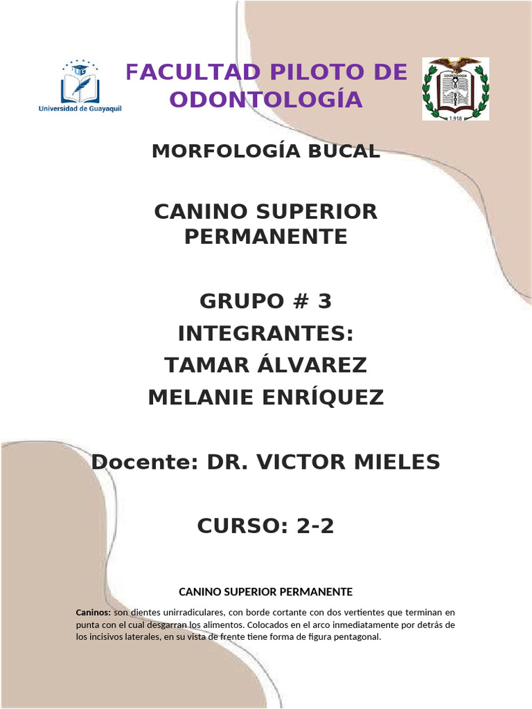 Canino Superior Permanente | PDF | Ramas de Odontología | Boca