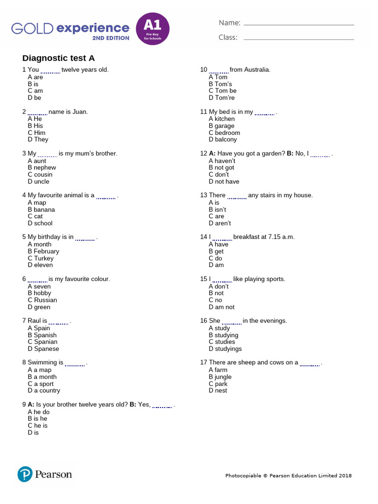Gold Exp A1 Diagnostic Test A | PDF