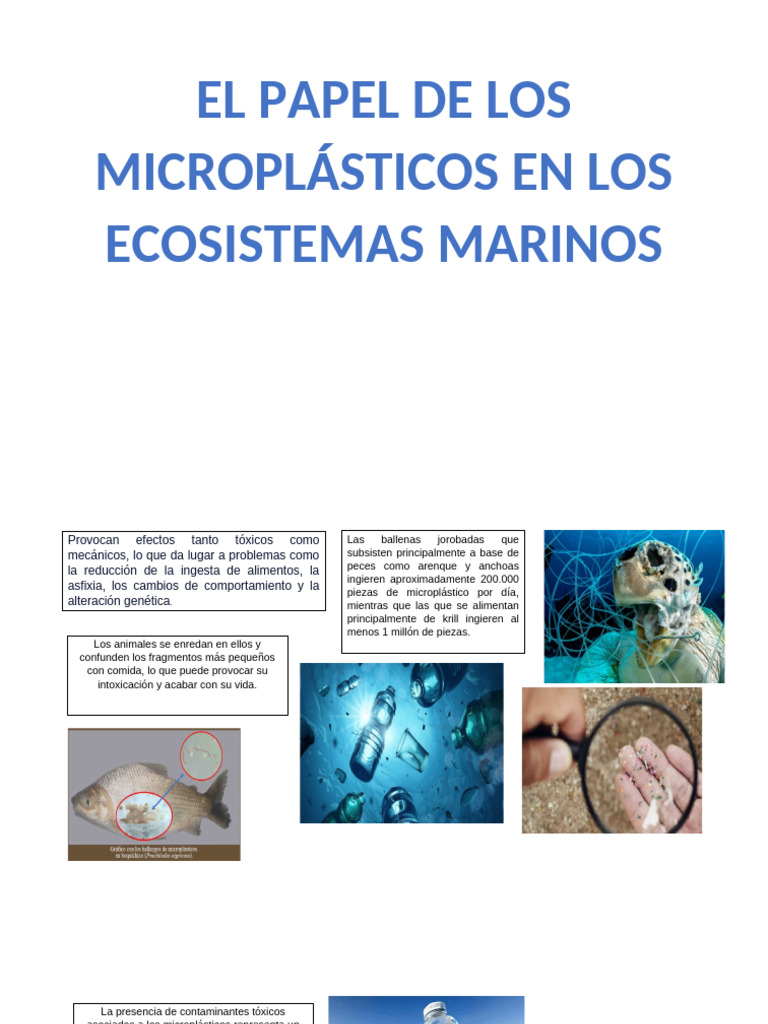 El Papel de Los Microplásticos en Los Ecosistemas Marinos | PDF | Salud ...