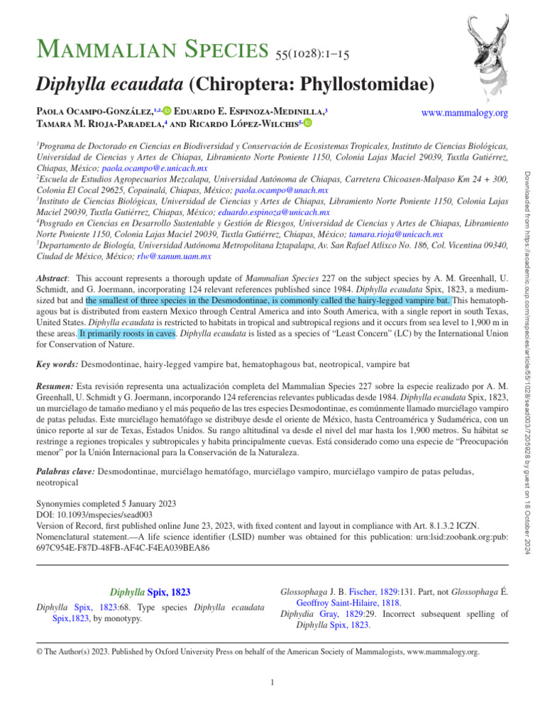 Mammalian Species Diphylla | PDF | Stomach | Epithelium