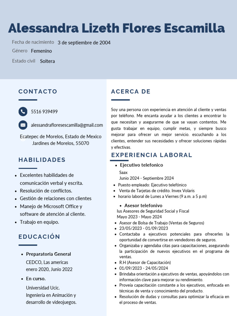 CV. Alessandra Lizeth Flores Escamilla | PDF | Informática