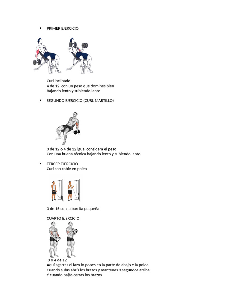 Rutina de Bíceps | PDF | Hogar, jardinería y bricolaje