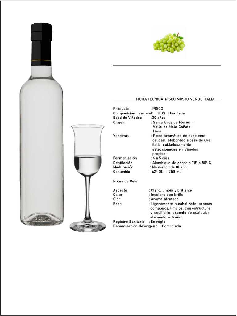 Pisco Mosto Verde Italia: Ficha Técnica | PDF | Cocina, comidas y vino
