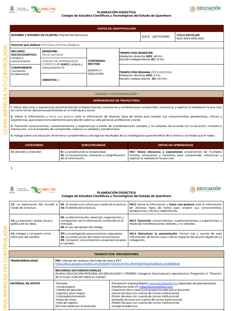 PL08 - Lengua y Comunicación III | PDF | Evaluación | Ensayos