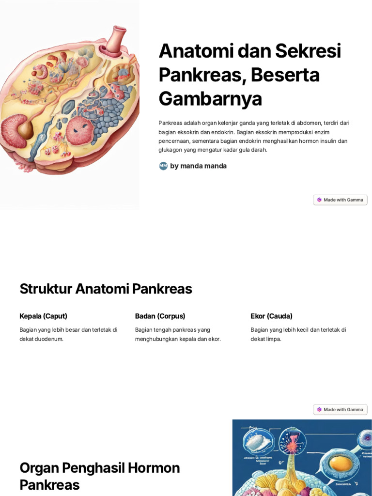 Anatomi dan Fungsi Pankreas Manusia | PDF