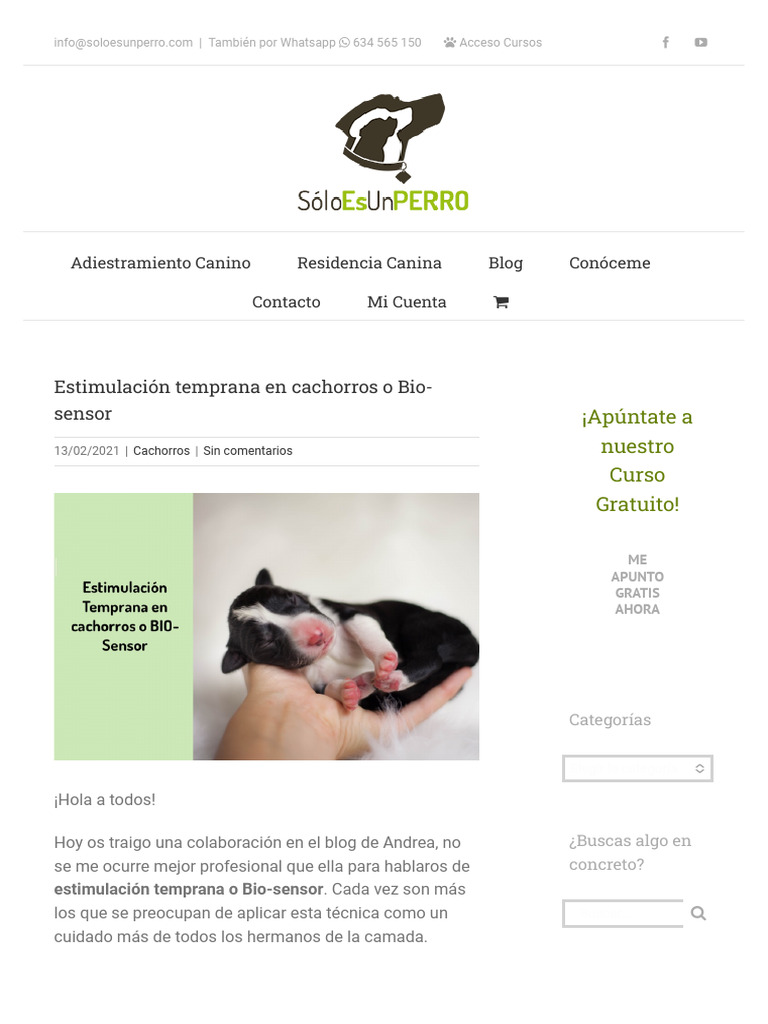 Estimulación Temprana en Cachorros | PDF