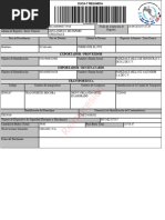 Formato DUCA T RESUMIDA PDF | PDF | aduana