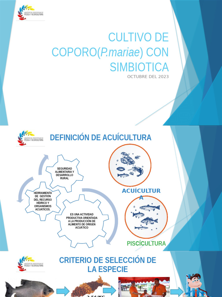 Formación Plan Coporo | PDF | Plancton | Acuicultura