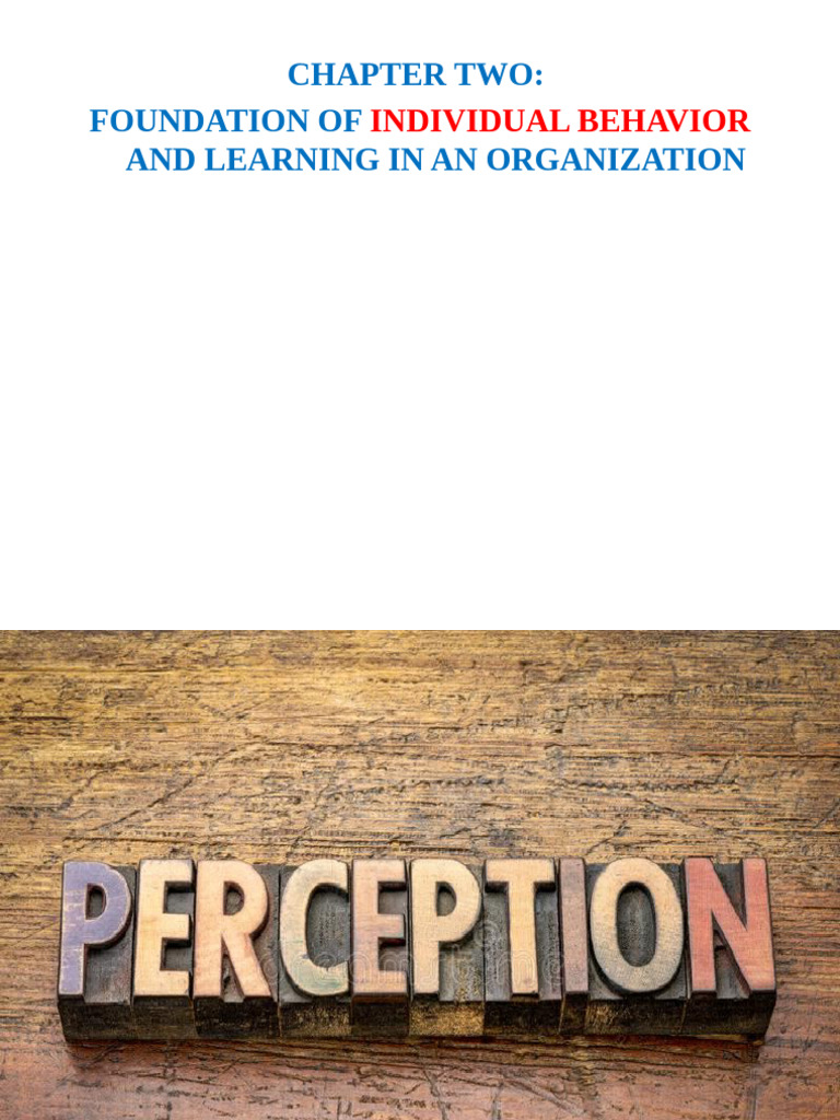 OB Chapter Two | PDF | Attitude (Psychology) | Perception